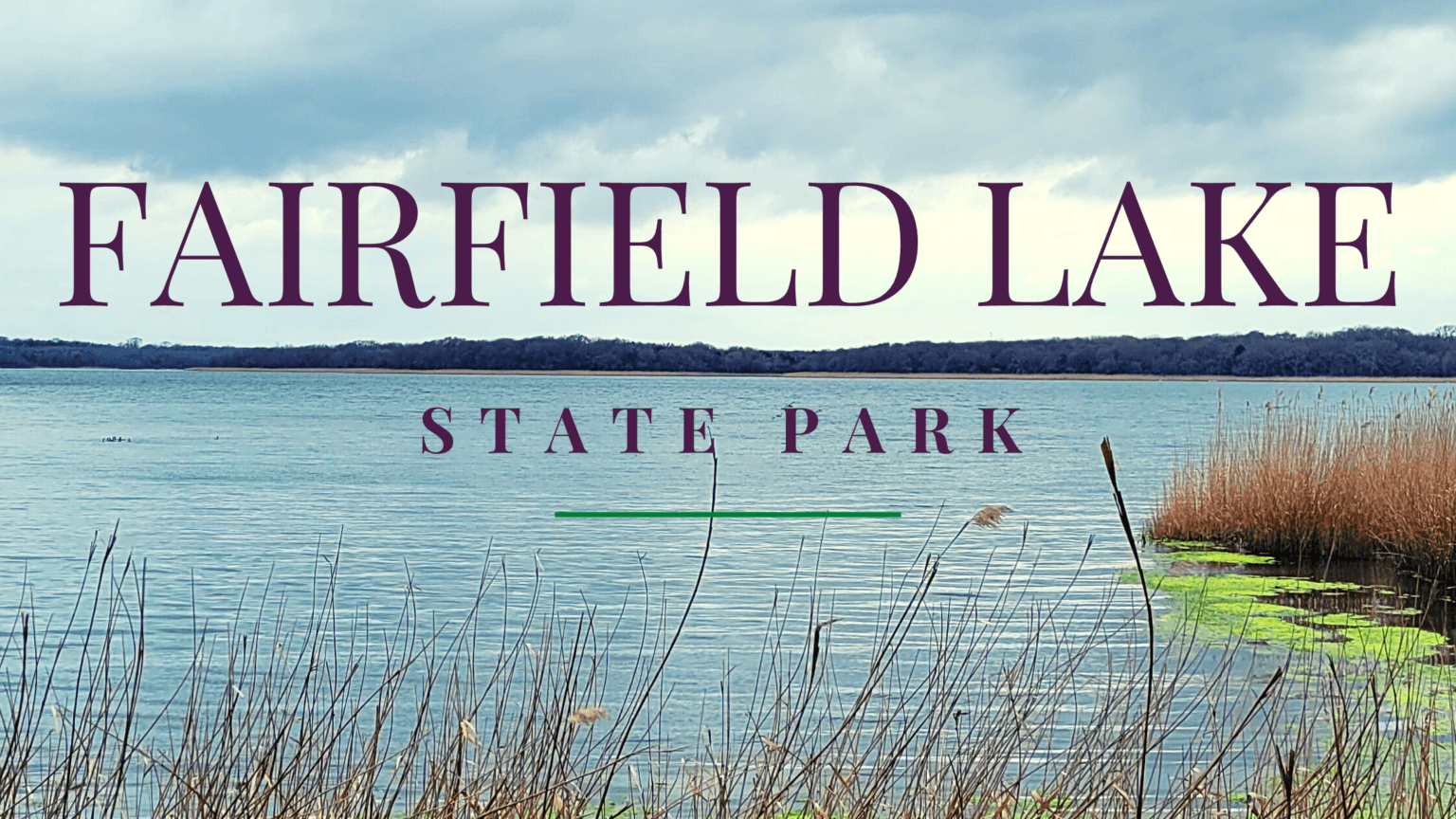 Fairfield Lake State Park Review - Shall We Camp