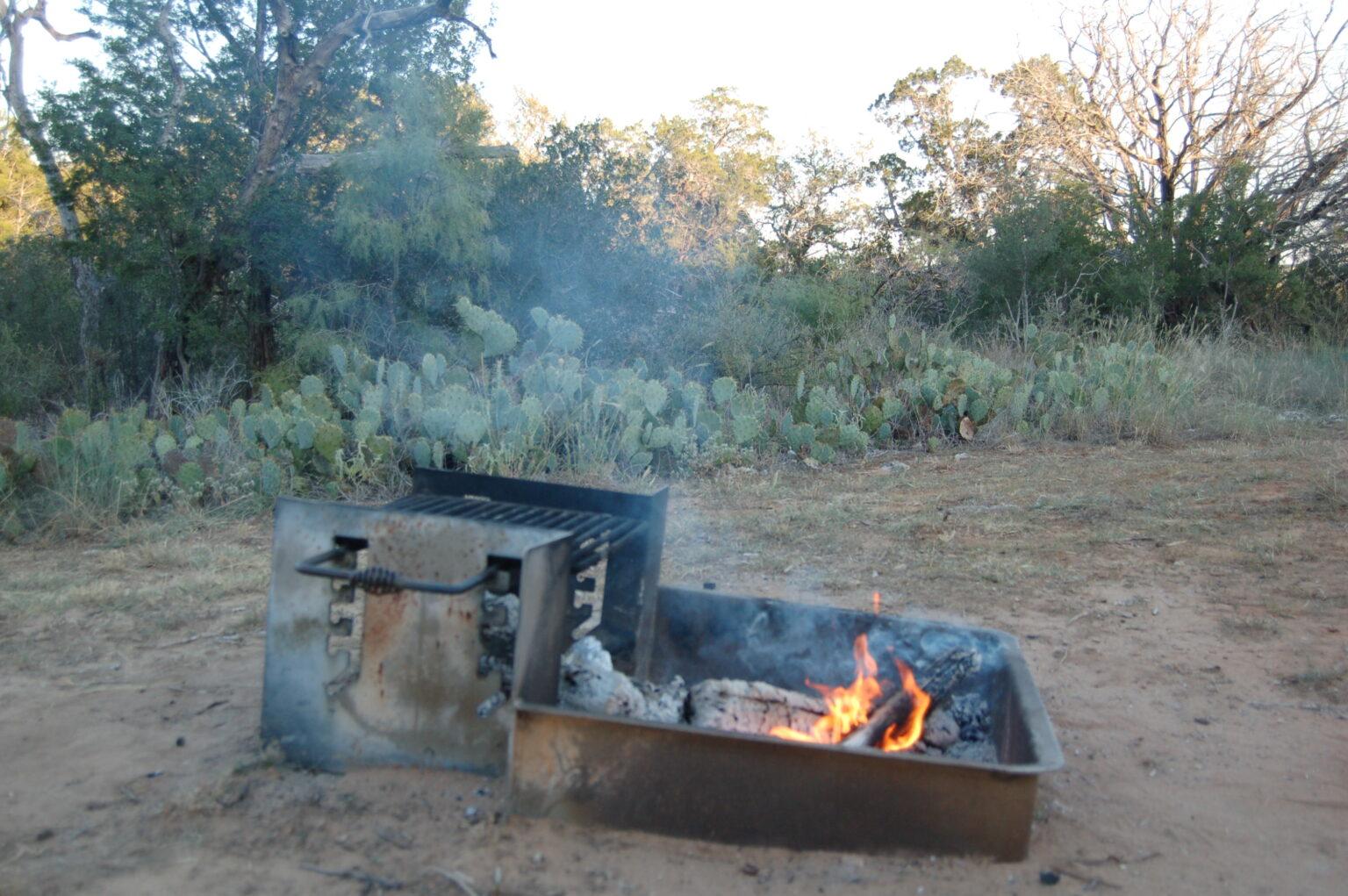 How to Cook While Camping: The Ultimate Beginner’s Guide