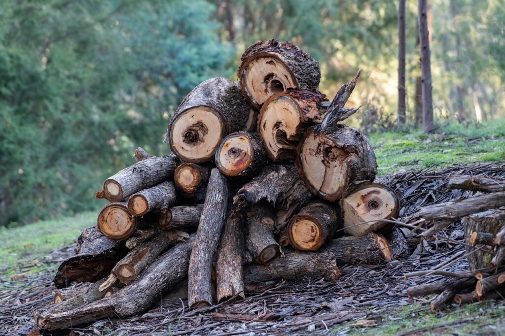 The Ultimate Guide to Camping Stove Fuel Types